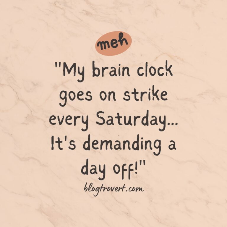 153 Funny Saturday Quotes To Crack Up Your Weekend