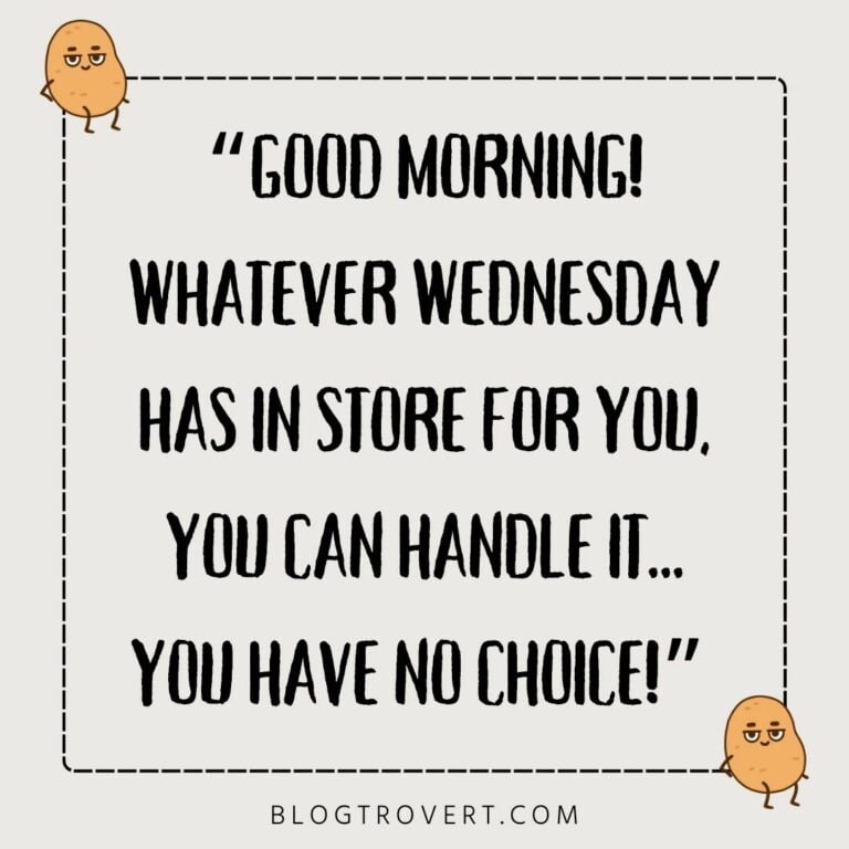 80+ Funny Wednesday Quotes To Get You Through The Hump Day